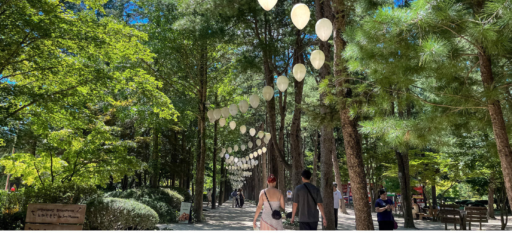 Nami Island & Mt. Seorak One Day Tour from Seoul - Klook United States